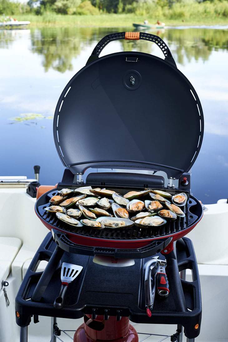 The Best Portable Gas Grill: The Ultimate Selection - Savoury Table